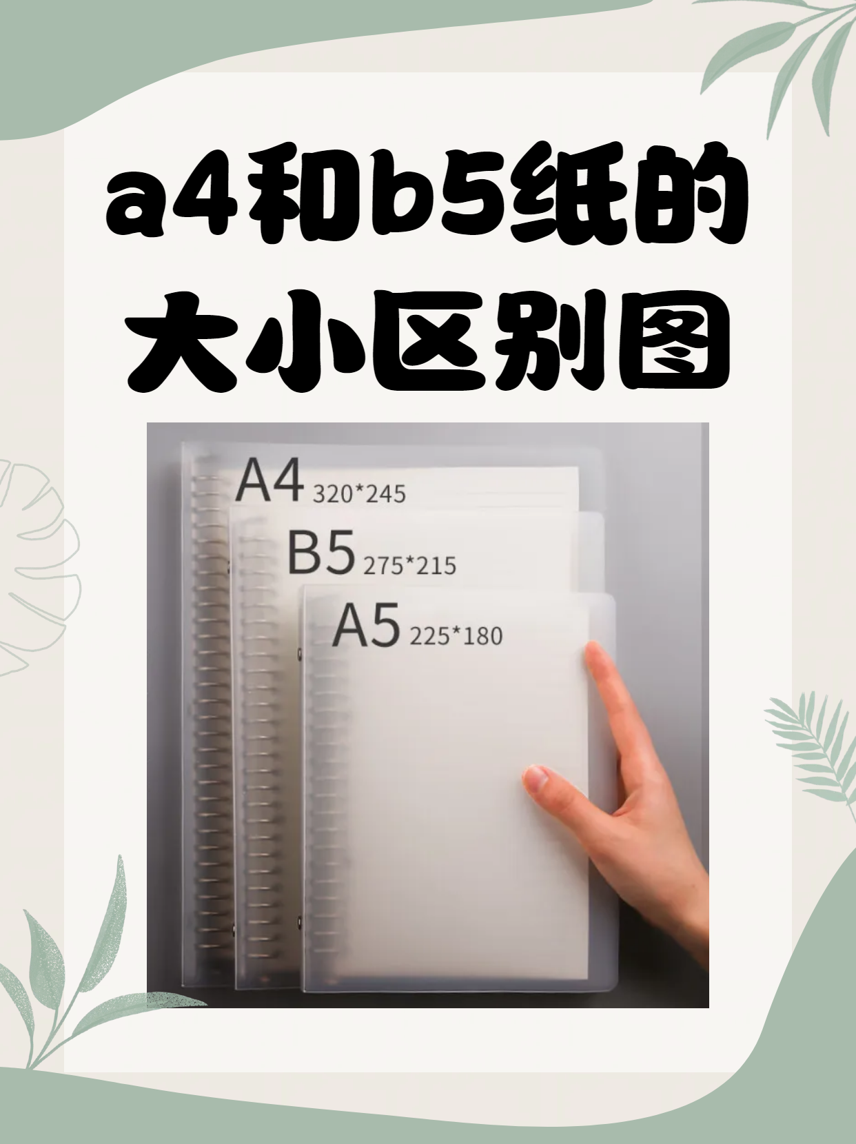 a4纸尺寸是多少 a4和b5纸的大小区别图_a4纸尺寸