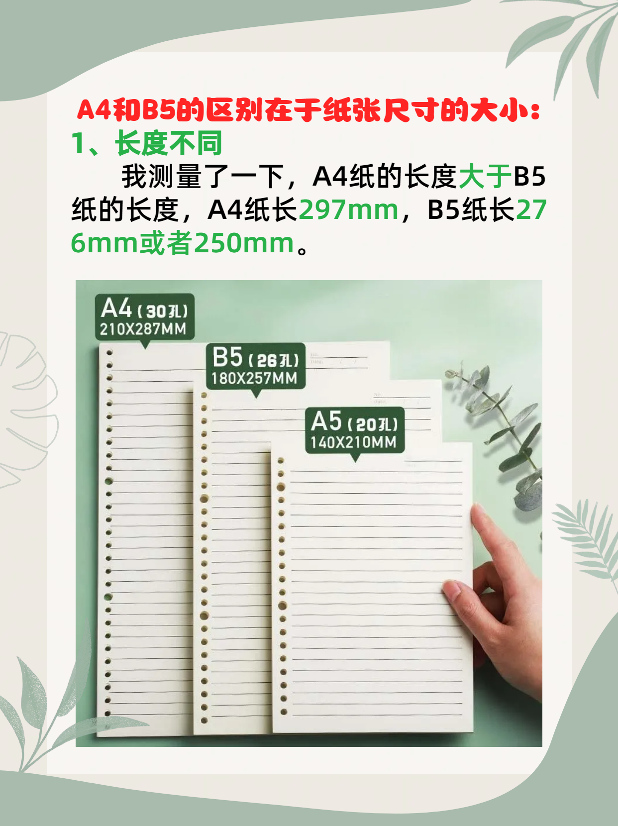 a4纸尺寸是多少 a4和b5纸的大小区别图_a4纸尺寸