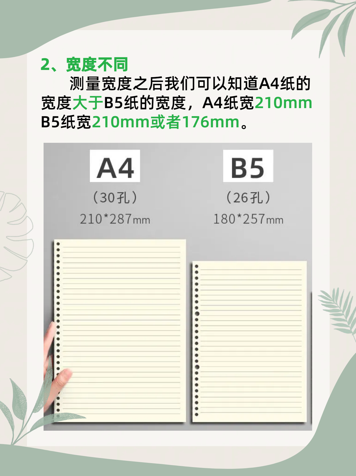 a4纸尺寸是多少 a4和b5纸的大小区别图_a4纸尺寸